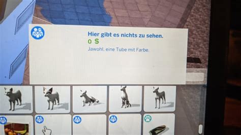 A Bunch Of Weird Debug Objects Rsims4