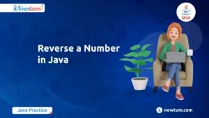 How To Install C In Windows Mac And Linux Easily Newtum