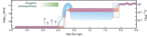 Evolution Of Earths Atmospheric Oxygen Content Through Time Lyons Et Al Download Scientific