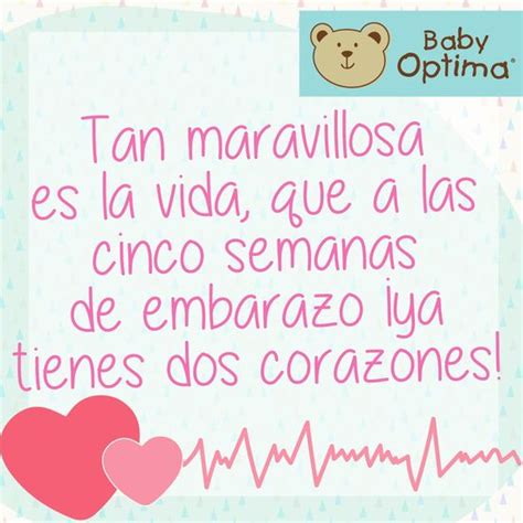 Bebe En Camino Frases