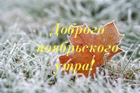 Доброе утро ноября 95 открыток