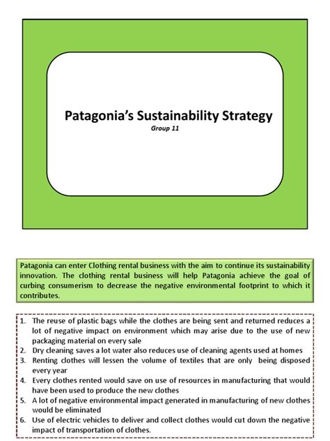 Patagonias Sustainability Strategy Pdf