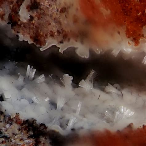 E Rocks Mineral Auctions