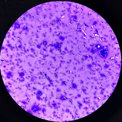 武汉合缘绿色生物股份有限公司