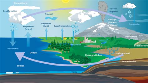 Water Cycle Diagram For Class 9