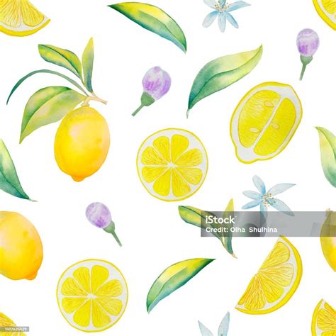 나뭇 가지에 레몬과 잎이 매끄러운 패턴의 레몬 조각 잘 익은 감귤류의 손으로 그린 수채화 그림 끝없는 열대 배경 레몬 차와 레모네이드 모티프 감귤류 과일에 대한 스톡 벡터