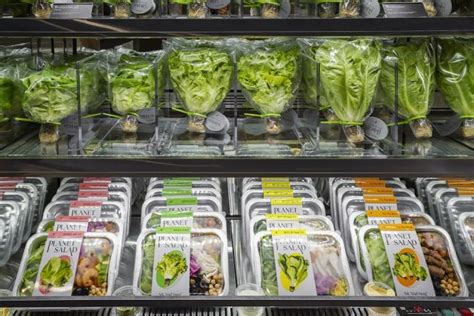 엔씽 Iot 스마트팜 채소로 만든 샐러드 출시 스타트업 스토리 플랫폼 플래텀platum