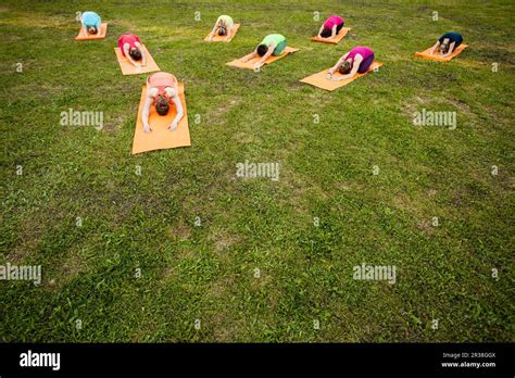 The Group Of Yoga Lovers Stock Photo Alamy