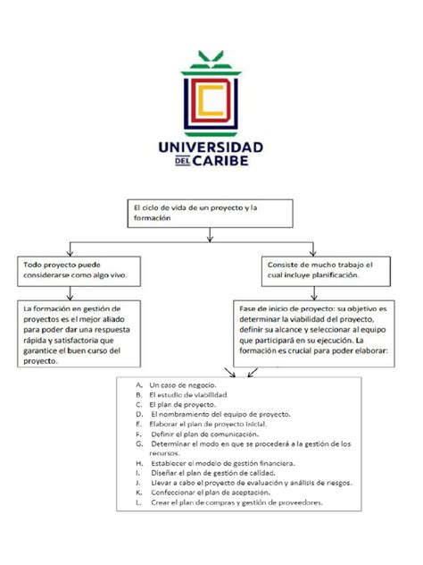 Unidad 1 Actividad 3 Mapa Conceptual Sobre El Ciclo De Vida De Los