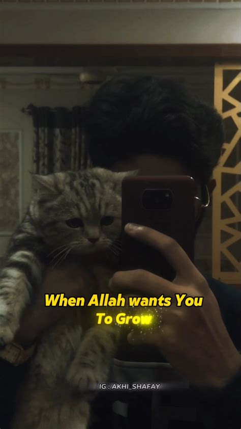 Muhammad Shafay Lodhi Akhi Shafay • Instagram Photos And Videos