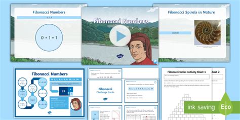What Is The Fibonacci Sequence Answered Twinkl Teaching Wiki