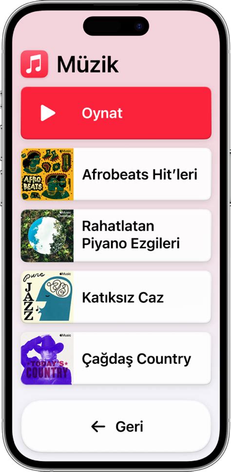 Iphoneda Yardımcı Erişim Ile Müzik çalma Apple Destek Tr