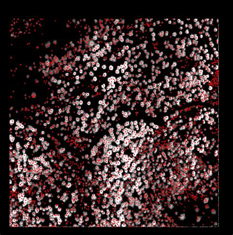 exercise 3 tree segmentation · gvi tutorials