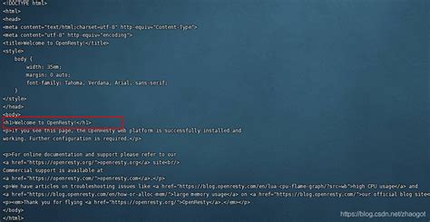 docker实战之部署openresty openresty 反向代理docker 容器名称 csdn博客