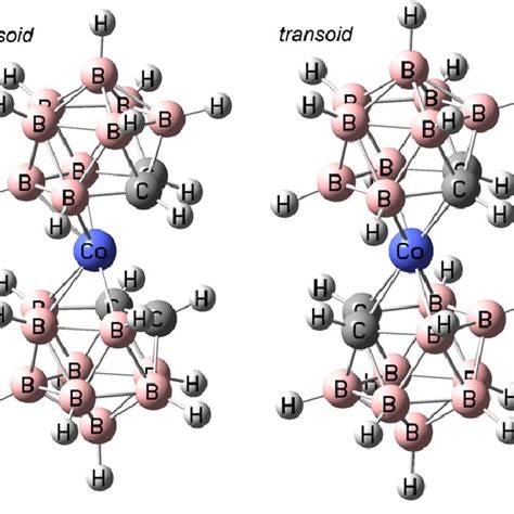 Optimized Geometries Of Both Cisoid And Transoid Anion Conformations Download Scientific Diagram