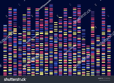 Genomic Data Visualization Dna Test Vector Stock Vector Royalty Free