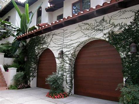 Tips For Growing Vines Hometips