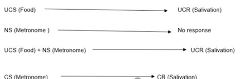 2 Classical Conditioning Flashcards Quizlet