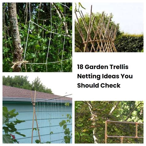 18 Garden Trellis Netting Ideas You Should Check SharonSable