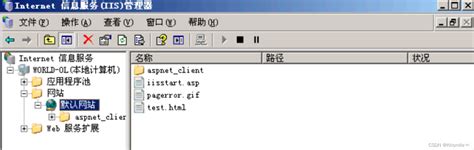 Web漏洞分析 文件解析及上传上 CSDN博客