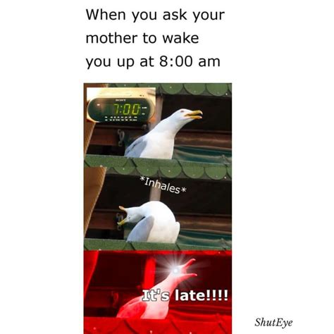 30 Funny Waking Up Memes That Will Brighten Your Day 2024