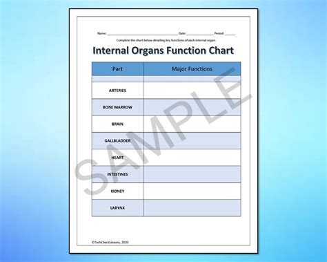 Internal Organs Labeling Functions Science Worksheet Printable Graphic Organizer Editable