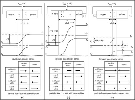 Schematic Representation Of The Width Of Space Charge Depletion Download Scientific Diagram