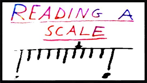 What Does The Scale Read