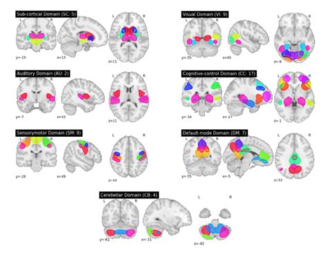 Group Ica Derived Spatial Maps Spatial Maps Are Grouped Into Seven Download Scientific Diagram