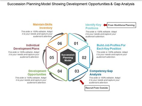 Succession Planning Model Showing Development Opportunities And Gap