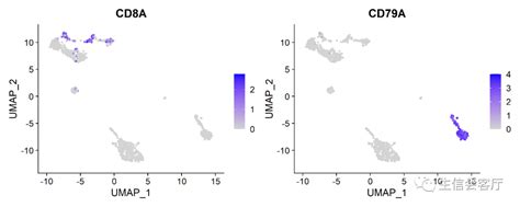 单细胞转录组基础分析八可视化工具总结 腾讯云开发者社区 腾讯云