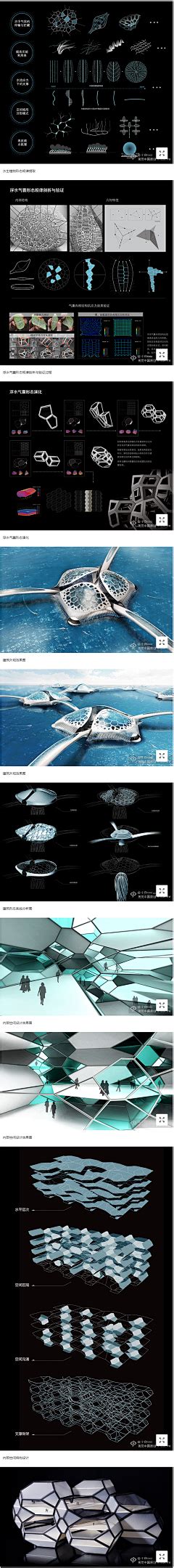 建筑空间形式 花瓣网 陪你做生活的设计师 毕业展 植物为了适应各种自然环境条件的变化，在长期的自然选择过程中形成了多样、独特且最具合理性的形态。著名美国生物学家雅尼娜•m•拜纽什曾说