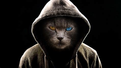 100 Dark Animals Wallpapers