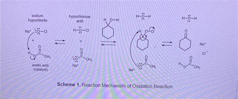 Solved Scheme Reaction Mechanism Of Oxidation Reaction Chegg Com