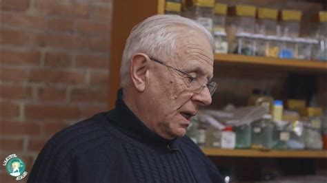 მინანქრის მისტერია ერმილე მაღრაძე სასწაულის ძიებაში Youtube