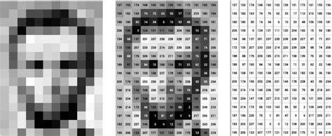 Computer Vision 101 Working With Color Images In Python By Eryk Lewinson Towards Data Science