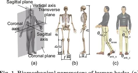 Figure 1 From Development Of A Novel Autonomous Lower Extremity Exoskeleton Robot For Walking