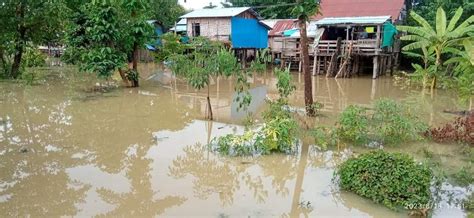 ပန်းတောင်းမြို့နယ် ထုံးဘိုကျေးရွာအုပ်စုအတွင်း ဧရာဝတီမြစ်ရေတက်ရောက်မှုကြောင့် မြေနိမ့်ပိုင်းအိမ်ခ