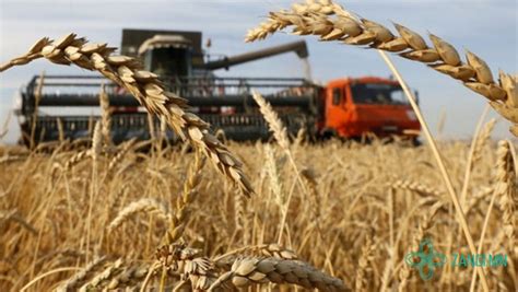 Zangi Mn Атар 4 аяныг ирэх хоёрдугаар сарын 1 нээс эхлүүлэхээр болжээ