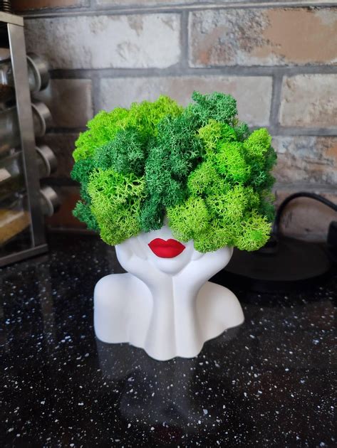 Дівчинка з червоними губами в гіпсовому кашпо зі стабілізованим норвезьким мохом зелених