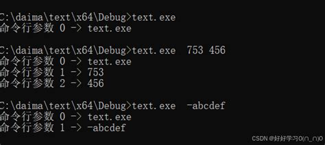 Linux 进程 命令行参数 Csdn博客