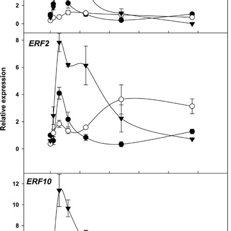 Expression Levels Of The Ethylene Responsive Factor 1 Erf1 Erf2 And