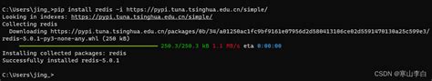 Python安装redis库pip Install Redis Csdn博客 Python安装redis库pip Install Redis Csdn博客