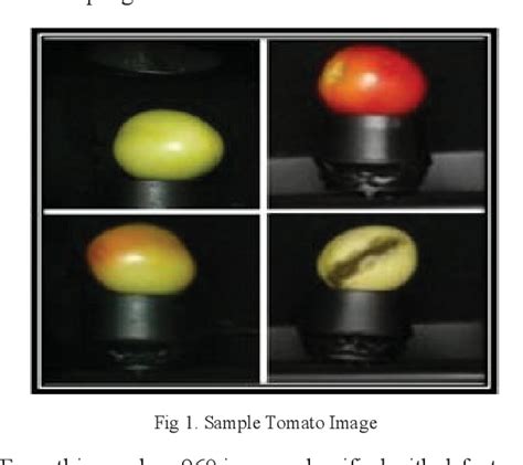Figure 1 From Tomato Fruit Image Dataset For Deep Transfer Learning Based Defect Detection