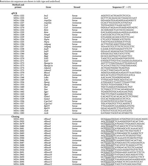 Oligonucleotide Sequences Used For Pcr Amplification Download Table