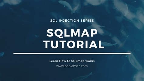 Sqlmap Tutorial A Comprehensive Guide 2026