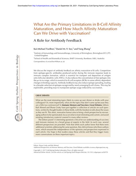 What Are The Primary Limitations In B Cell Affinity Maturation And How Much Affinity Maturation