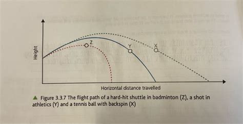 Projectile Motion Flashcards Quizlet