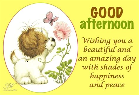 Good Afternoon Enjoy And Have A Nice Day Premium Wishes