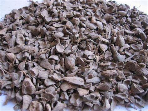 Palm Kernel Shells Nefp Biomass Solutions